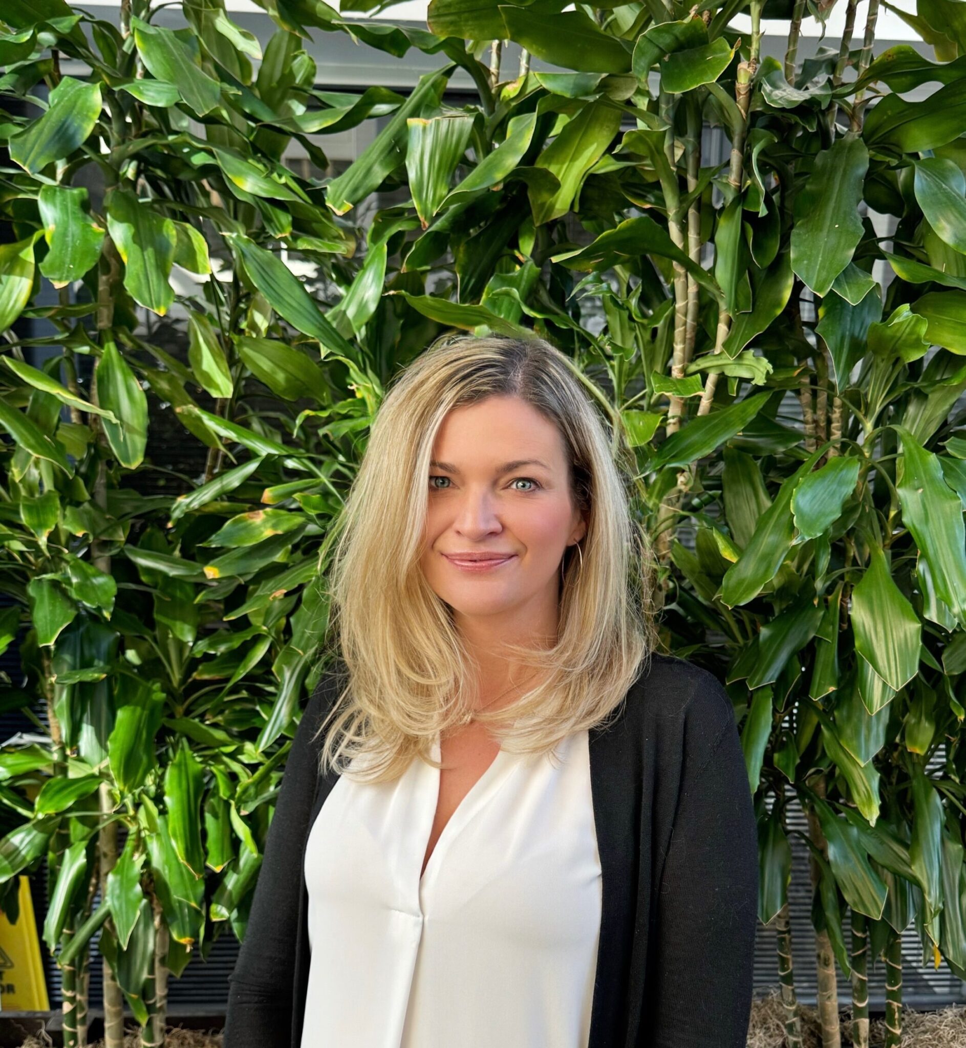 Teams - TBH Advisors